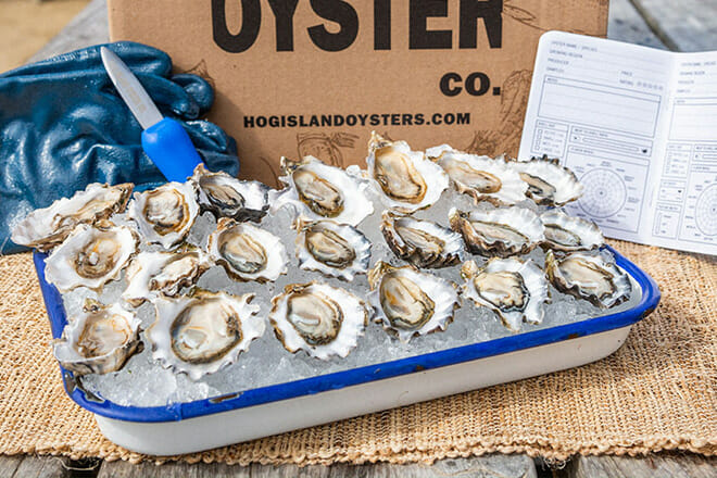 Hog Island Oyster Co.