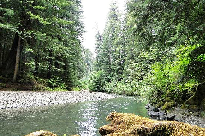 Humboldt Redwoods State Park