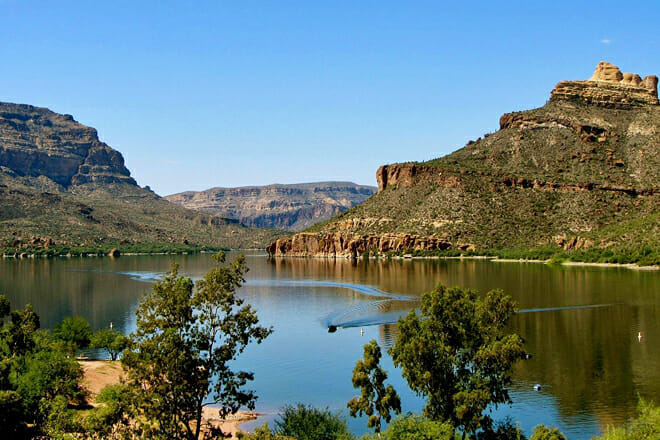 Is Arizona Safe: Demographics