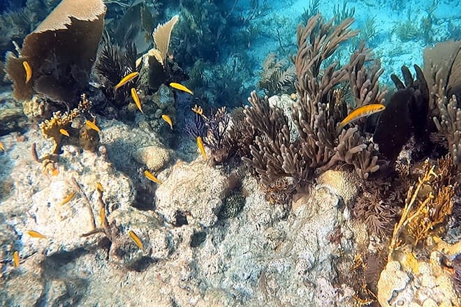 John Pennekamp Coral Reef State Park
