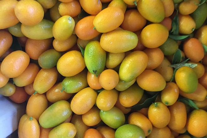 Kumquats