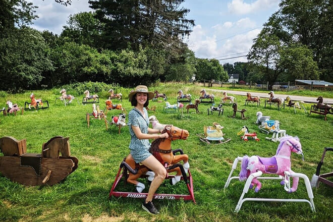 Local Culture and Influences on Slang