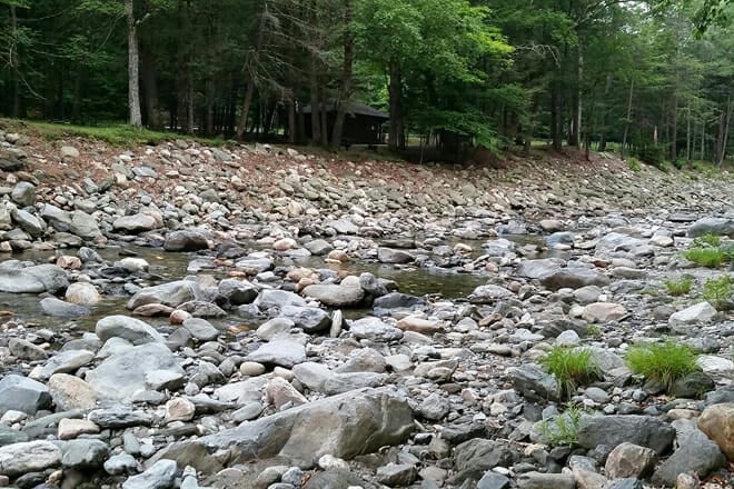 Mohawk Trail State Forest