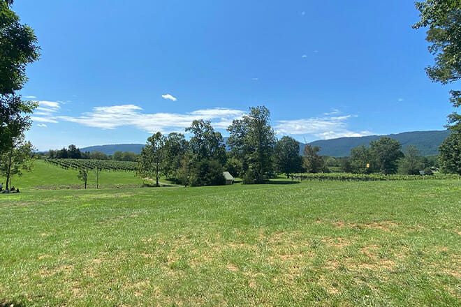 Monticello Wine Trail