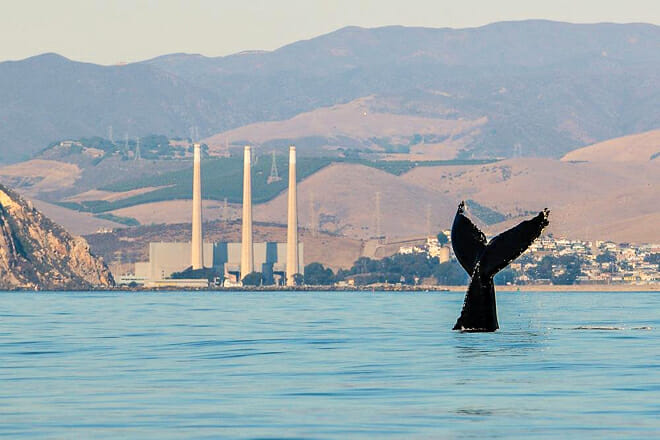 Morro Bay