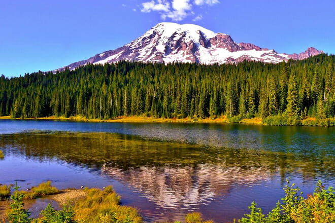 Mount Rainier National Park.