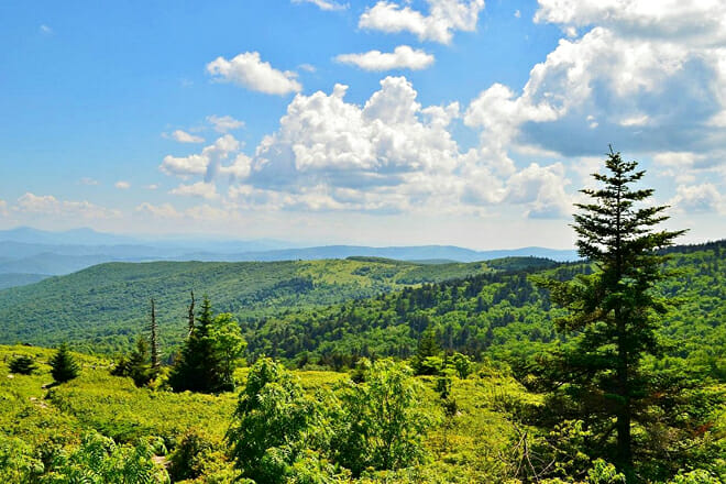 Mount Rogers National Recreation Area