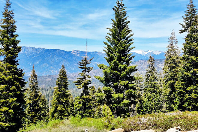 Muir Woods National Monument