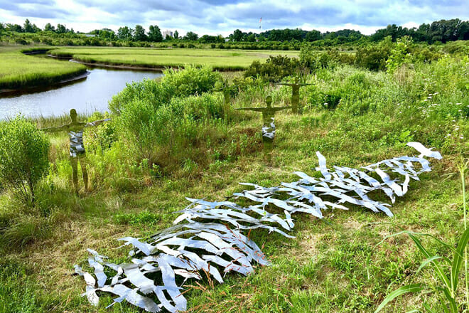 Paradise Creek Nature Park