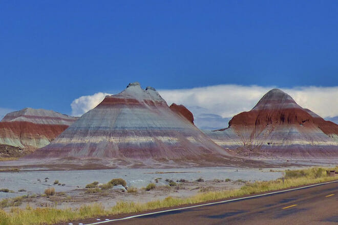 Petrified Forest