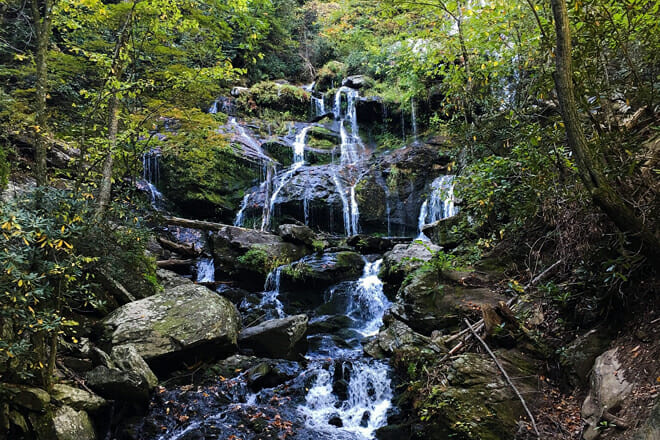 Pisgah National Forest
