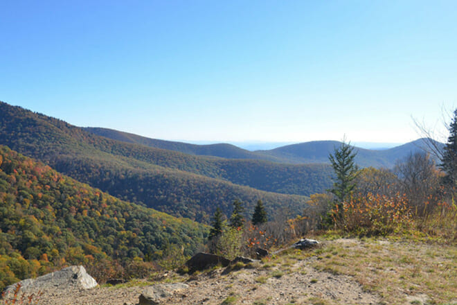 Pisgah National Forest