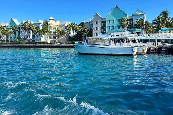 Reef Snorkeling Pigs and Turtles 3 Islands Tour