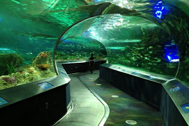 Ripley's Aquarium of Canada