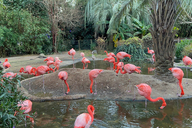 Riverbanks Zoo and Garden