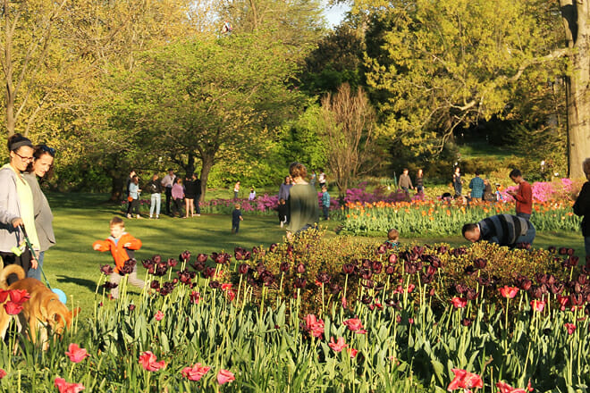 Roland Park-Homewood-Guilford