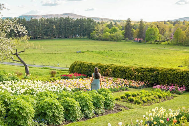 Safety Concerns for Residents and Tourists