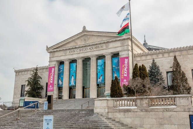 Shedd Aquarium