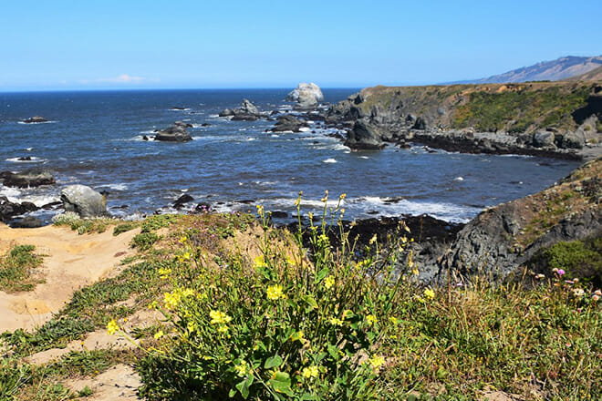 Sonoma Coast
