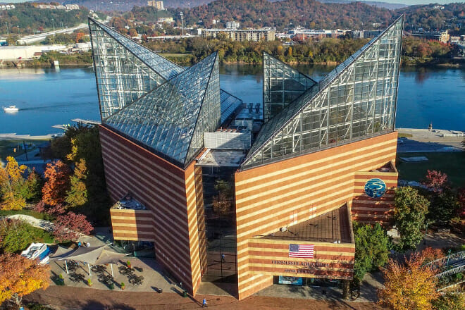 Tennessee Aquarium