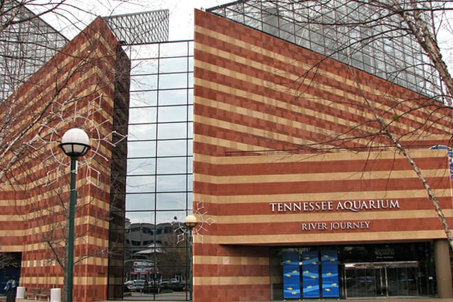 Tennessee Aquarium