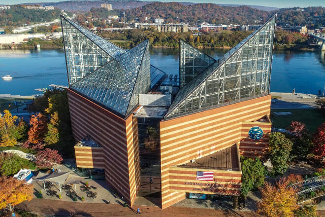 Tennessee Aquarium
