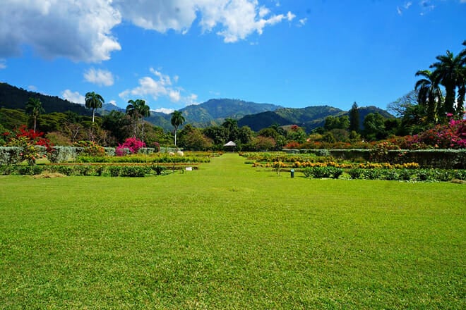 The Importance of Hand Gestures: Jamaica Overview