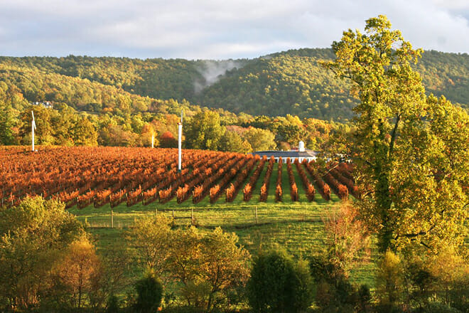 Traveling to Virginia for the First Time: Planning Your Trip