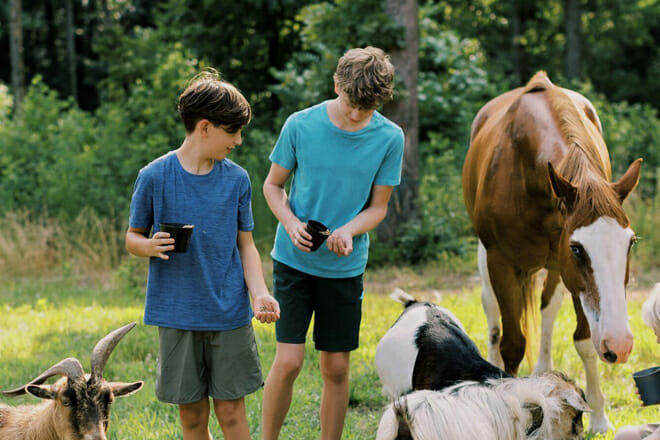 Using Georgia Slang in Everyday Conversation