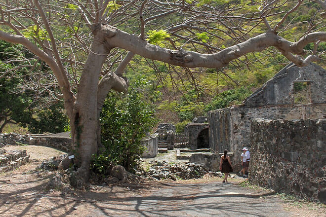 Virgin Islands National Park