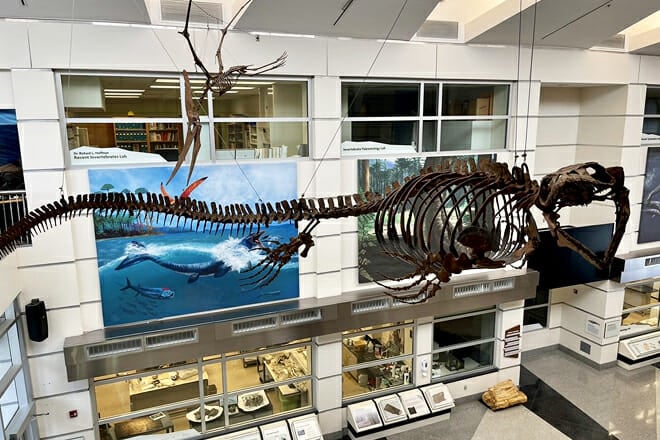 Virginia Museum of Natural History