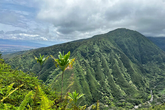 Waihe'e Ridge Trail