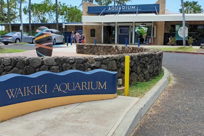Waikiki Aquarium