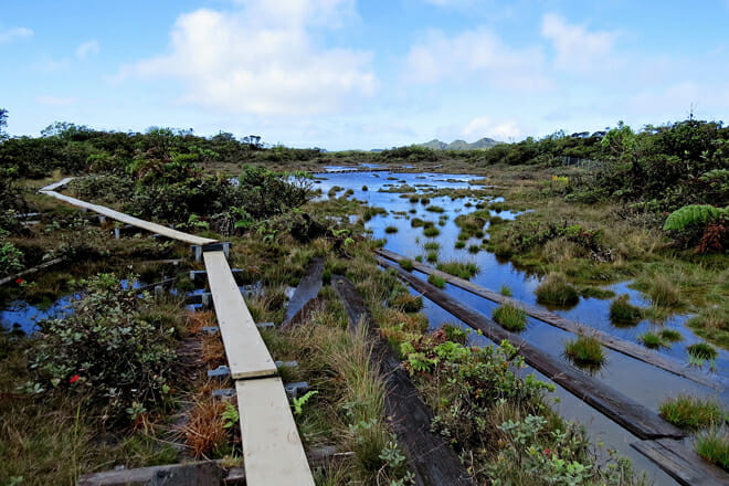 Waterfalls and Hiking