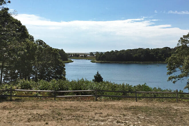 Which Part Of Cape Cod Is Good For Families: Family-Friendly Beaches