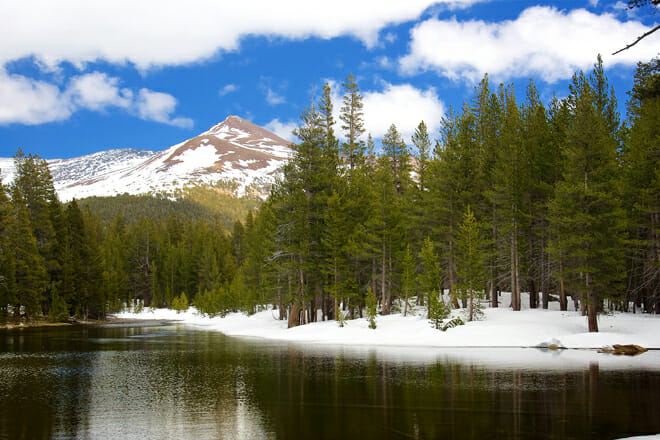 Yosemite National Park