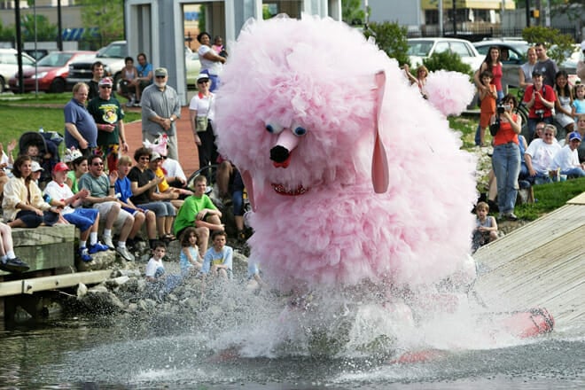 American Visionary Art Museum