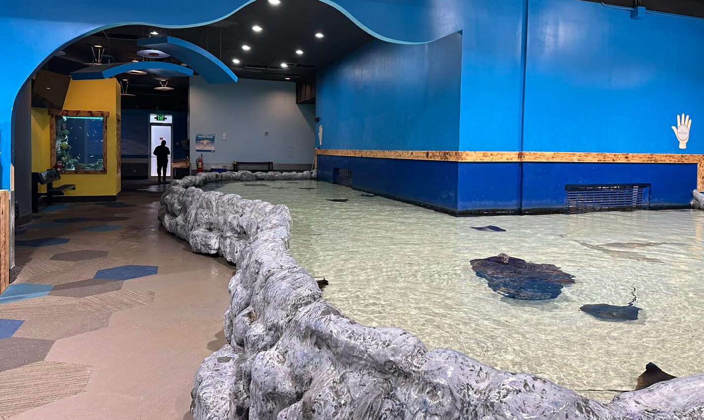 blue zoo aquarium travel photo