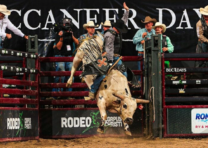 bucaneer day rodeo corpus christi texas