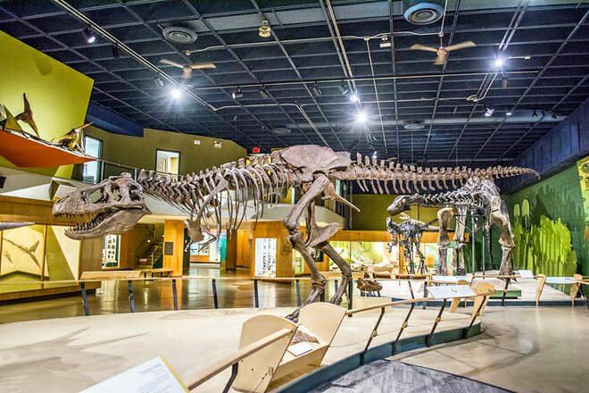 cleveland museum of natural history