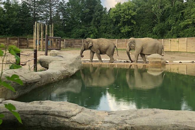 Columbus Zoo and Aquarium