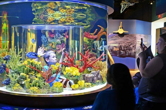 cox science center and aquarium