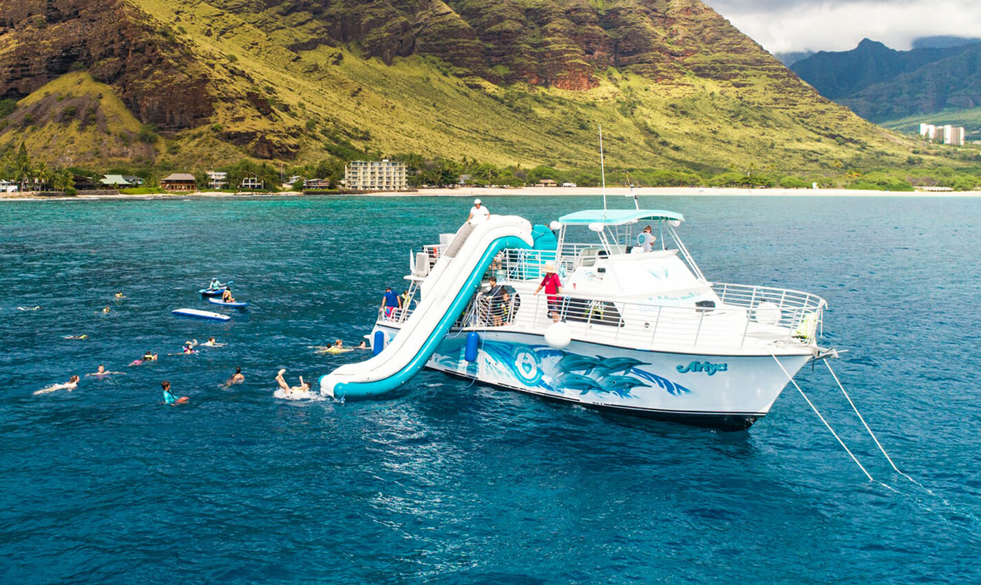 dolphins and you travel photo