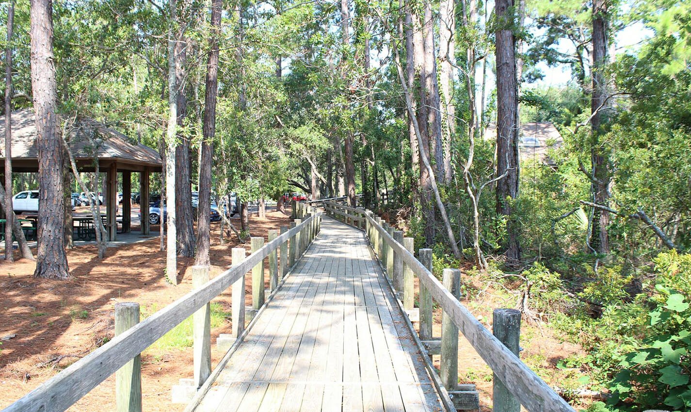 driessen beach park travel photo