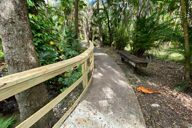 Florida Tech Botanical Garden (Also Known As The Joy & Gordon Patterson Botanical Garden)