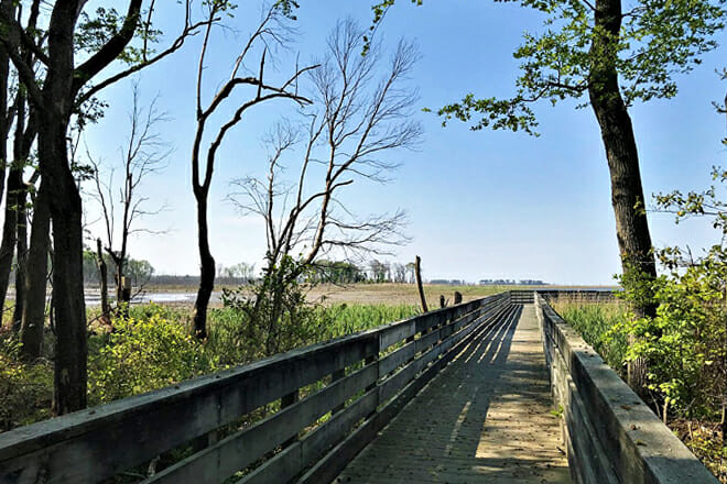 Food in Delaware: Delaware's Food Identity