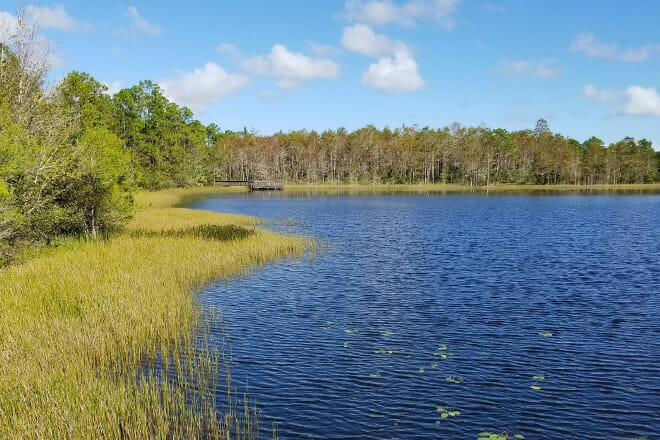 grassy waters preserve