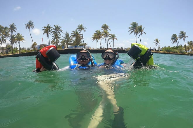 Jet Snorkel with Turtles