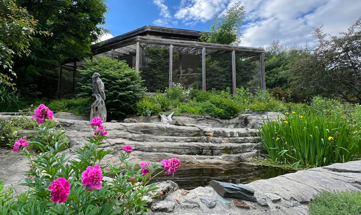 maine wildlife park travel photo