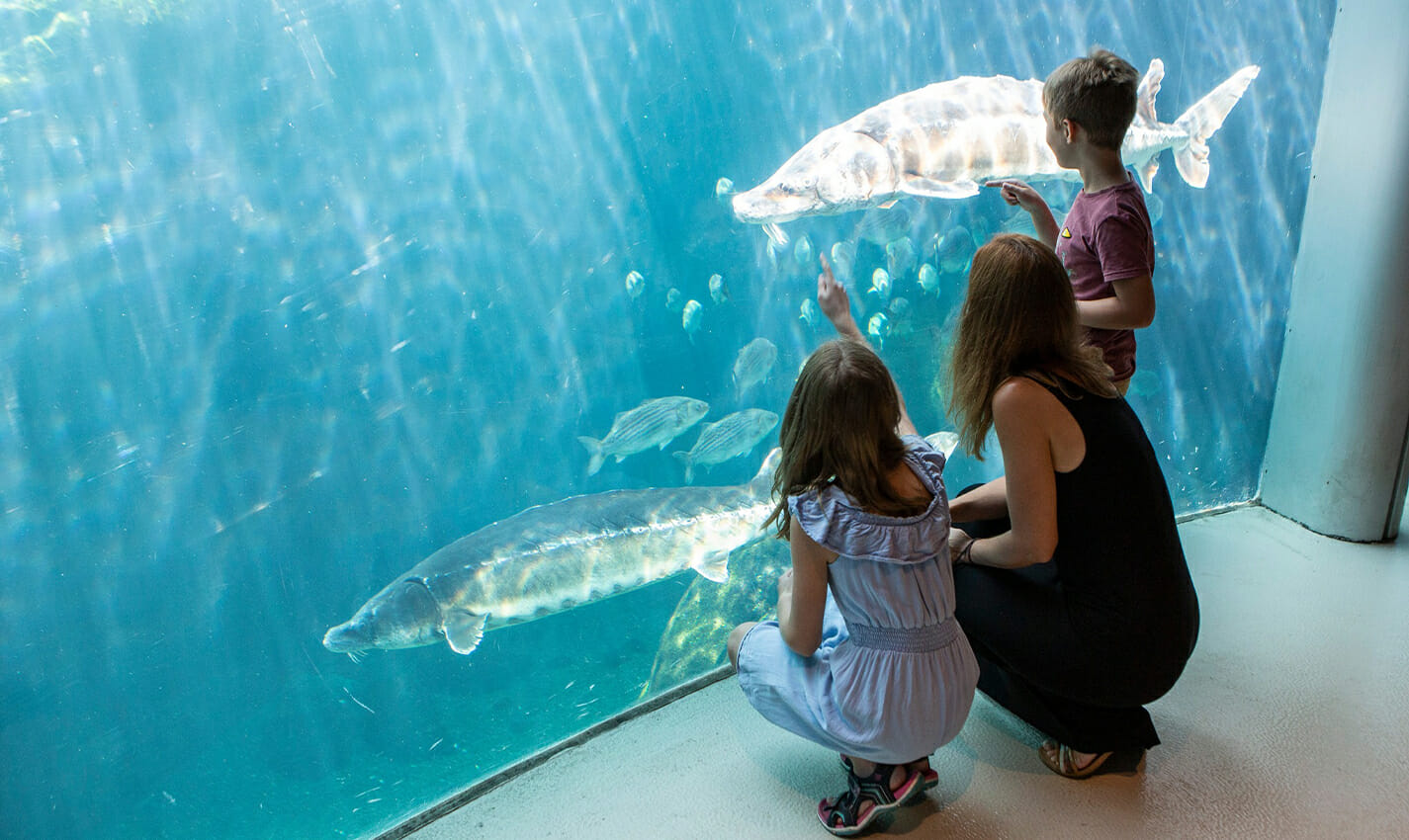 montreal biodome travel photo